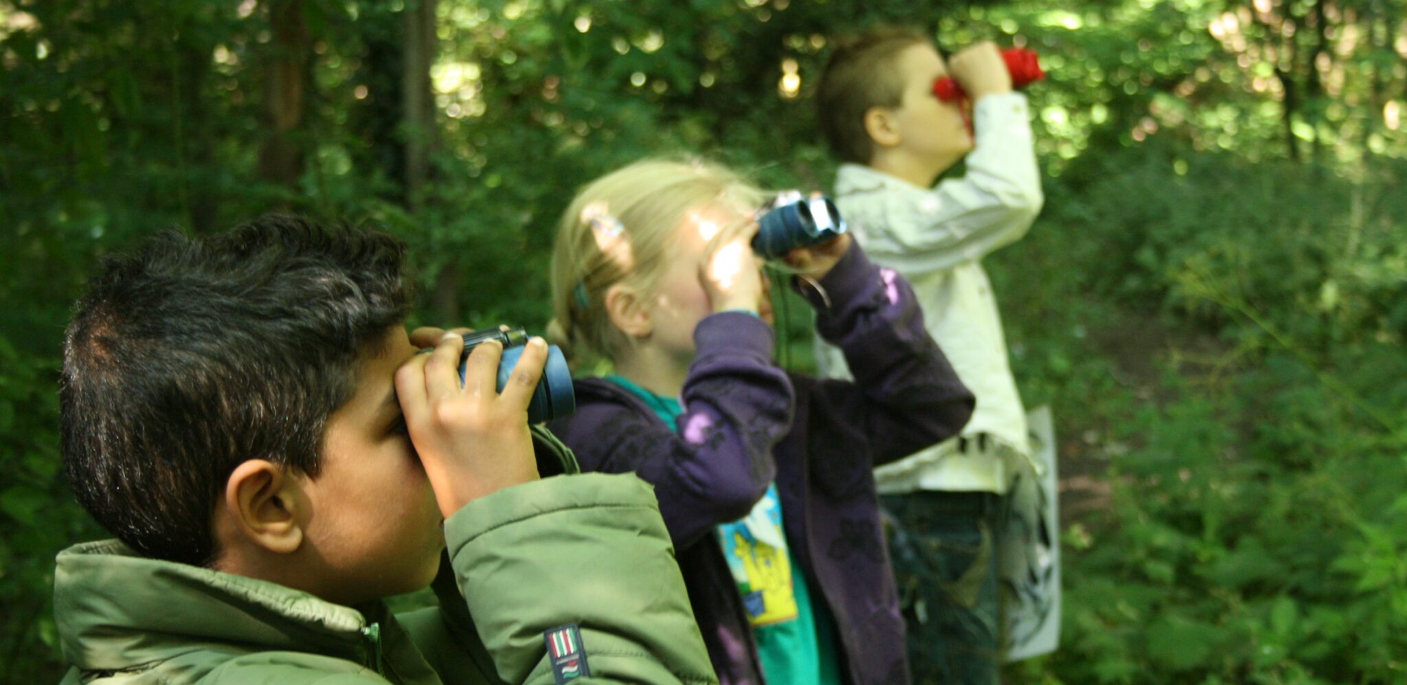 Leerkracht vervangende lessenseries (Andersom Amsterdam) – Ecokids